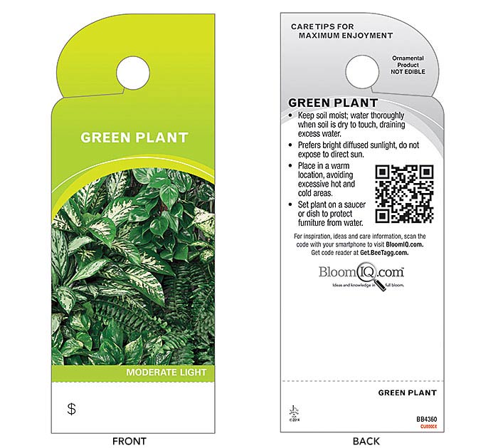 TAG- GREEN PLANT