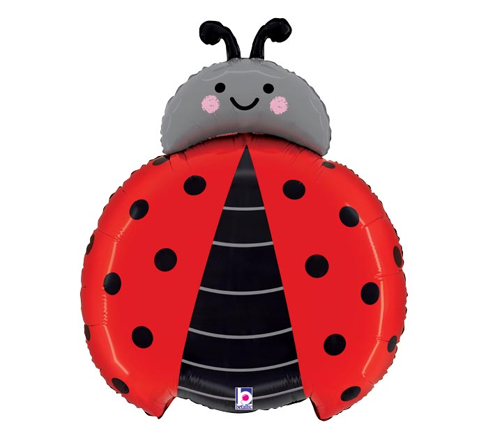 24pkg Ani Ladybug Shape