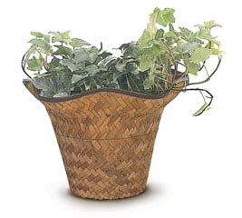 Wholesale Gift Pot Covers | Gift Baskets & Planters