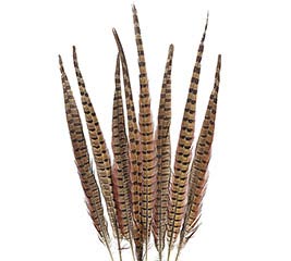 Wholesale Floral Supplies | Floral Wrap & More