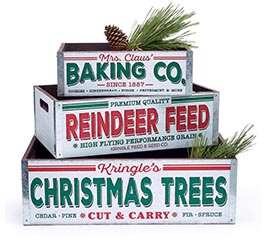 Wholesale Holiday Containers | Christmas Planters | b+B