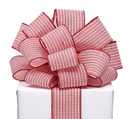 🎀 Wholesale Wired Ribbon | burton + BURTON