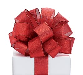 🎀 Wholesale Wired Ribbon | burton + BURTON