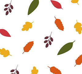 Cello Rolls | Gift Wrapping & Packaging Supplies