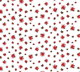 Wholesale Cello Rolls | Gift Wrapping & Packaging Supplies