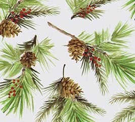 Cello Rolls | Gift Wrapping & Packaging Supplies